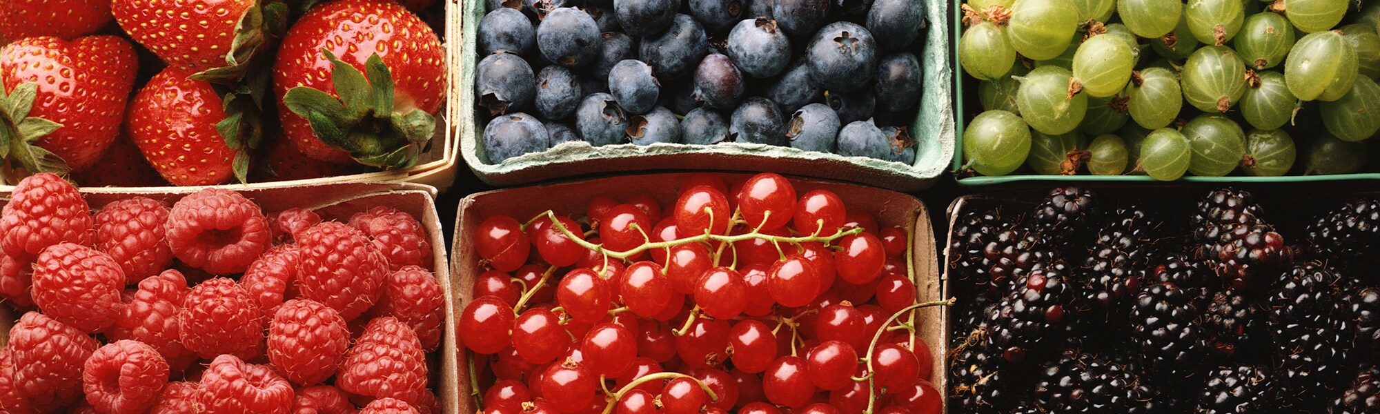 Food & Beverage Processing | Branche