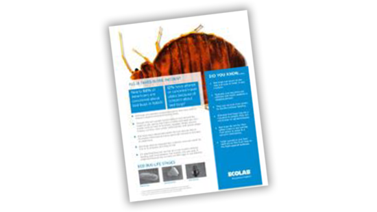 Commercial Bed Bug Treatment and Control | Ecolab